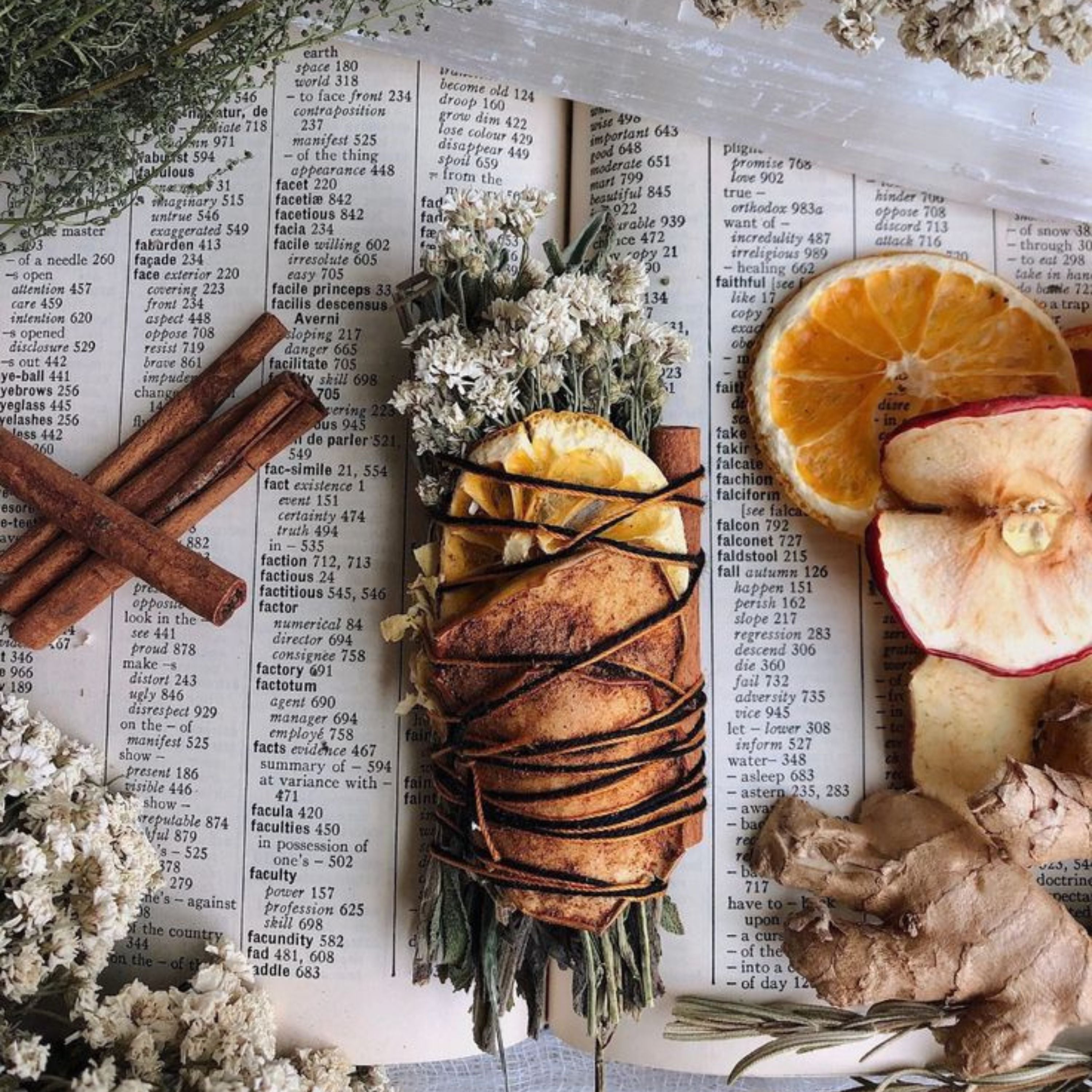 Top 10 Sage Fragrances for 2025 | Wicked Good – Wicked Good Perfume