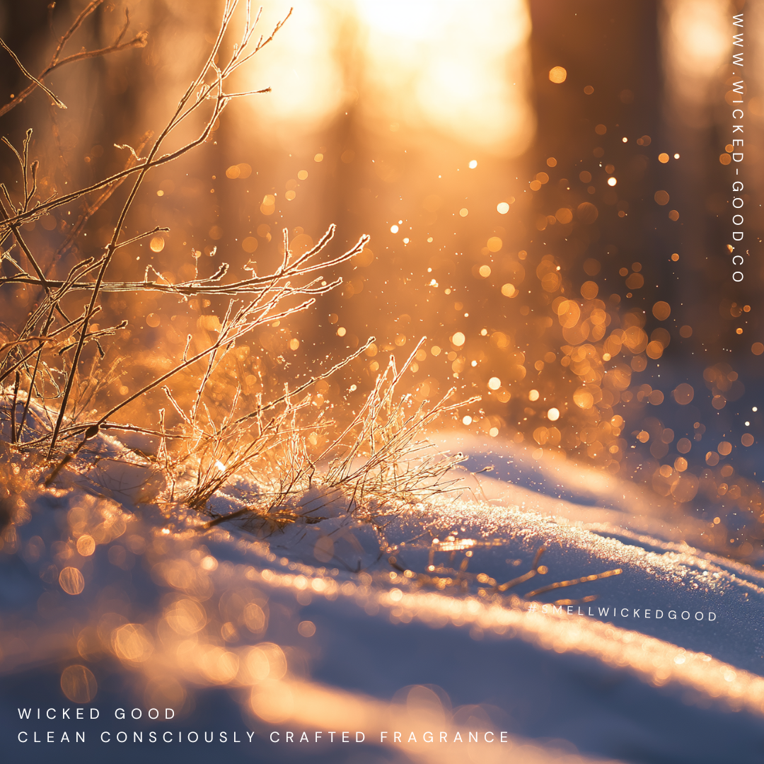 Winter Solstice Magic: folklore, rituals, + three winter perfumes that ...