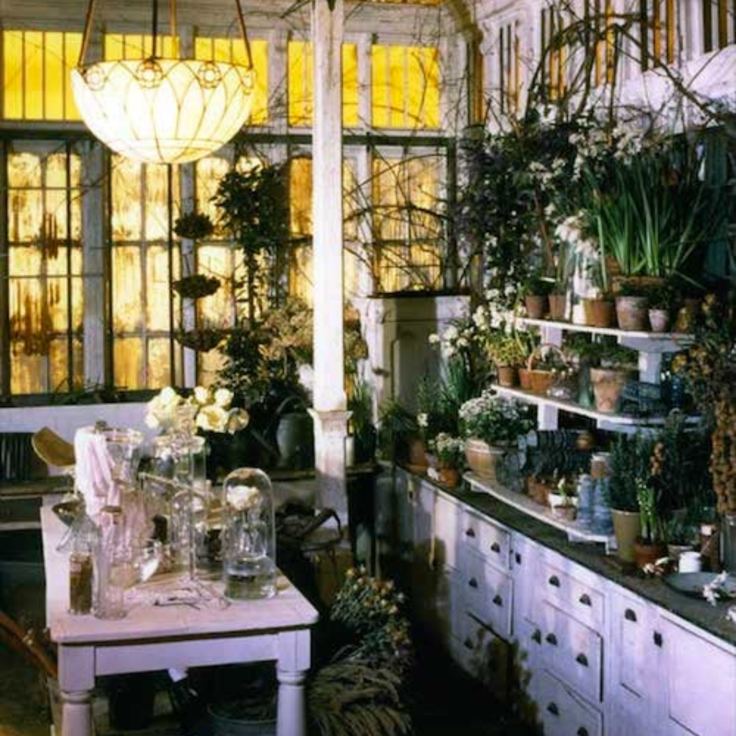 The Rules of Magic Gifts | Fragrances Inspired by Practical Magic ...