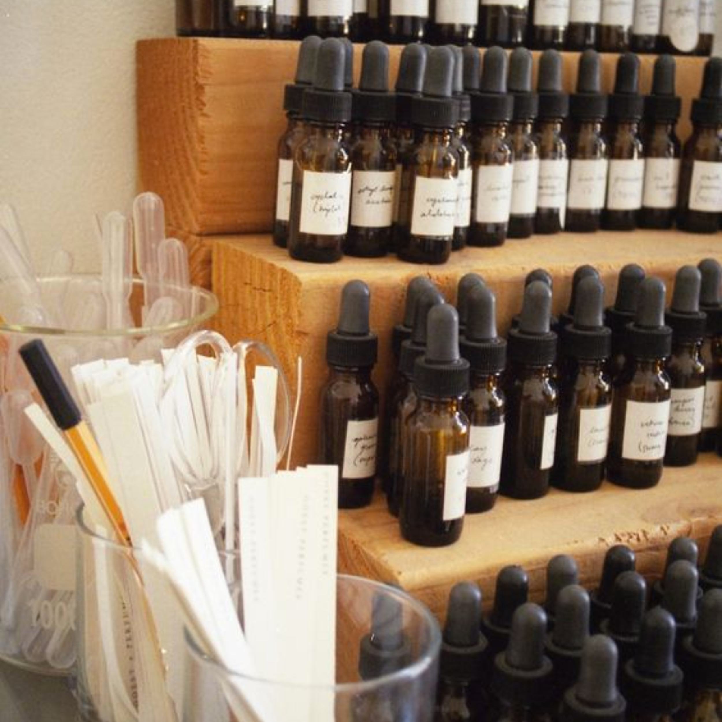 Fragrance Library | Wicked Good Clean Consciously Crafted Fragrance ...