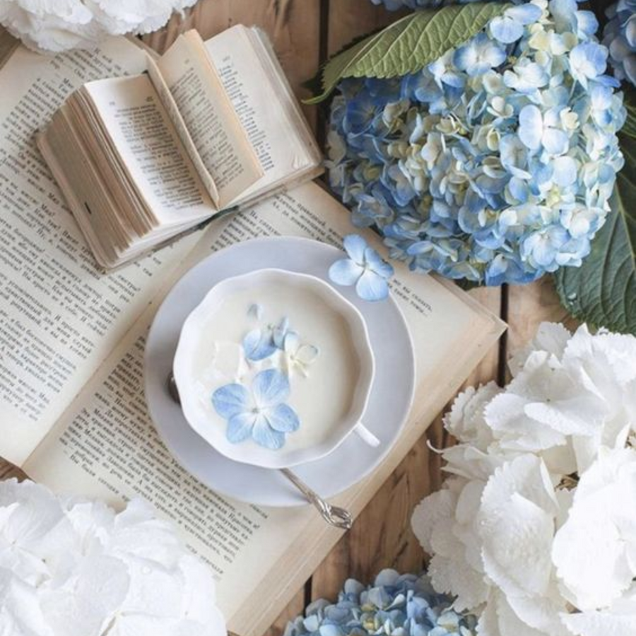 Beautiful Day Perfume | Daisies, Pink Peonies, Sun-Kissed Apples. # ...