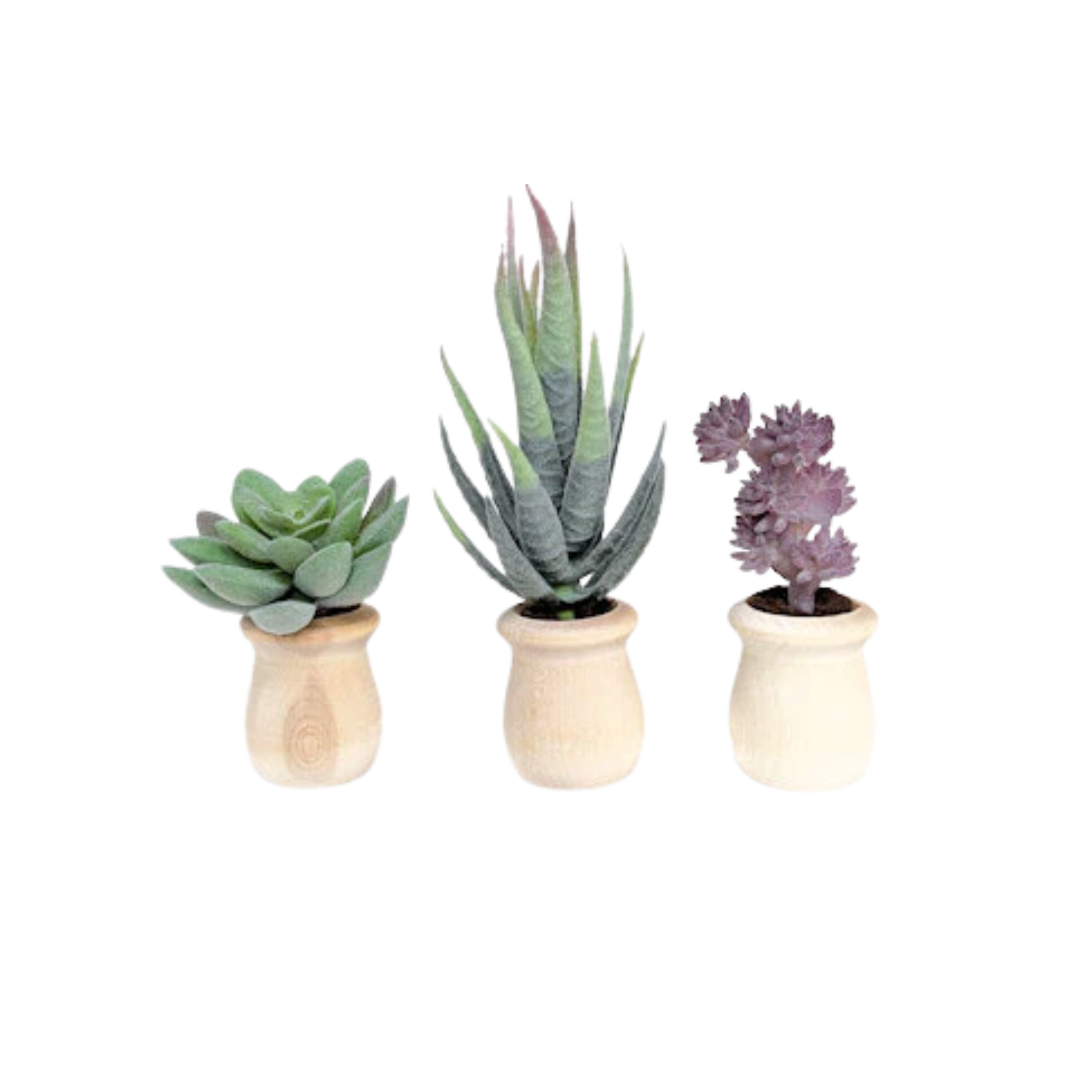 Succulent Car Diffuser Freshy | Wicked Good – Wicked Good Perfume