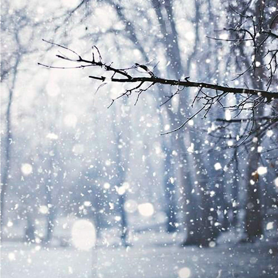 Snow Perfume | Custom Fragrances by Wicked Good – Wicked Good Perfume